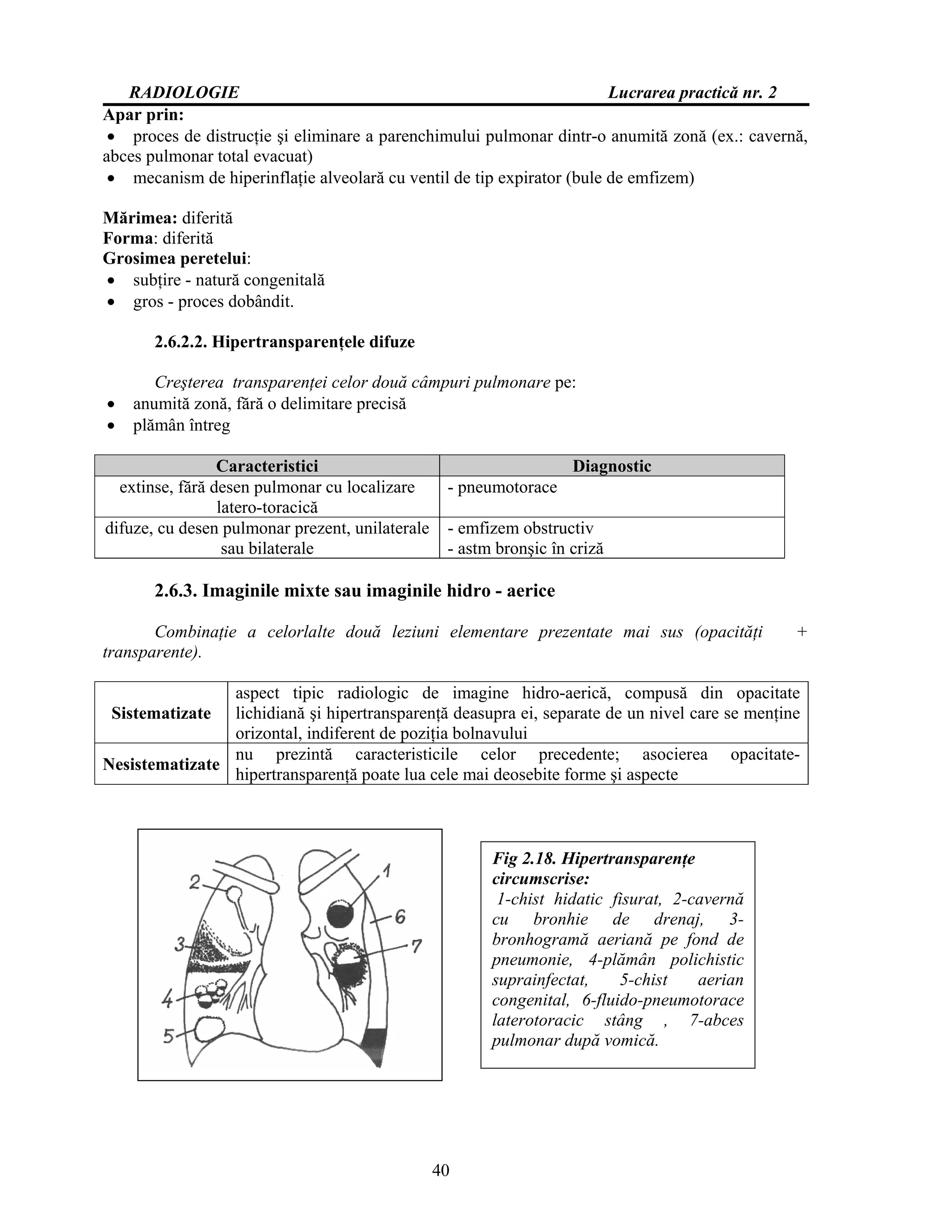 Ghid practic-de-radiologie-mircea-buruian-vol-1-20 | PDF