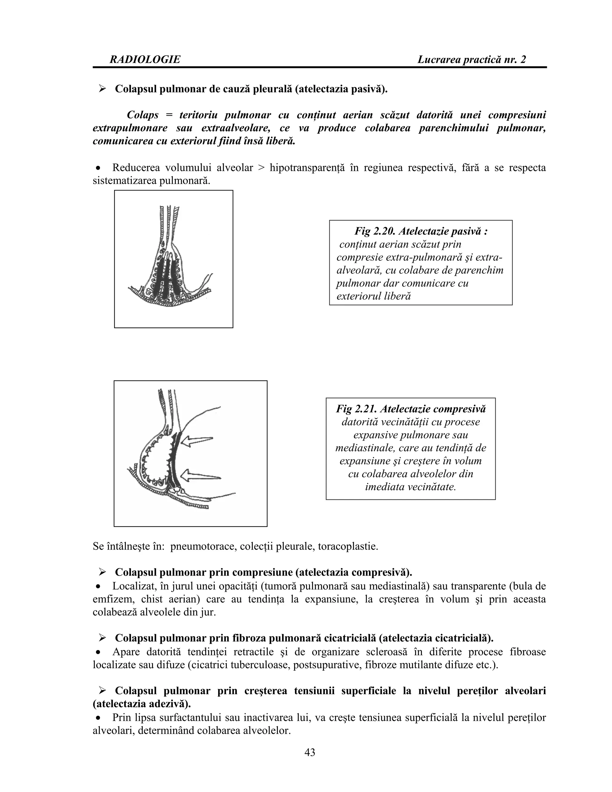 Ghid practic-de-radiologie-mircea-buruian-vol-1-20 | PDF
