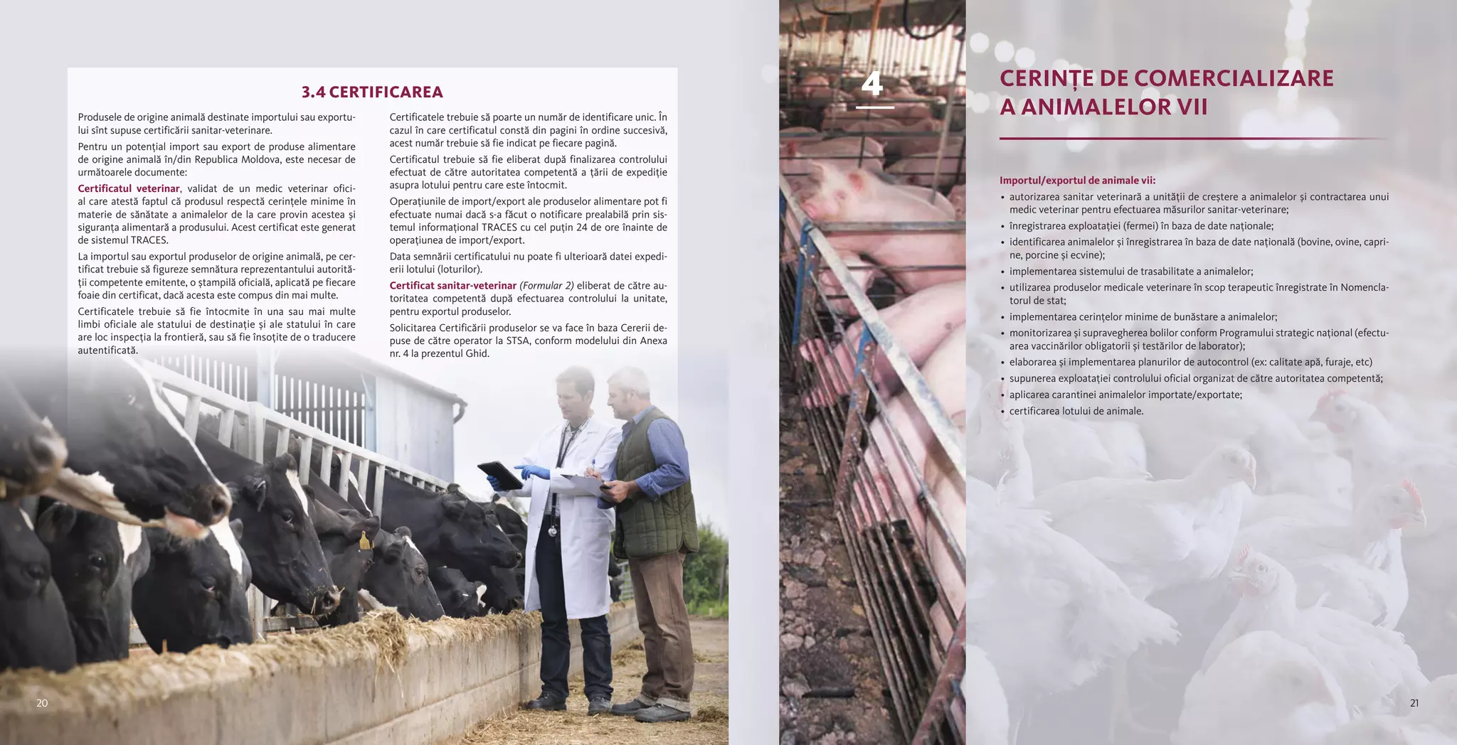Ghid siguranta-alimentara | PDF