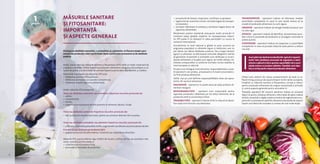 Ghid siguranta-alimentara | PDF