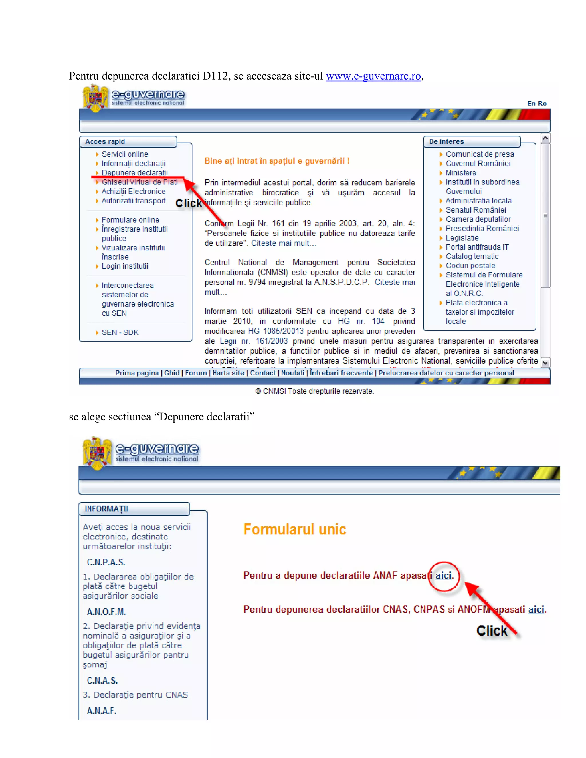 Ghid depunere vizualizare | PDF