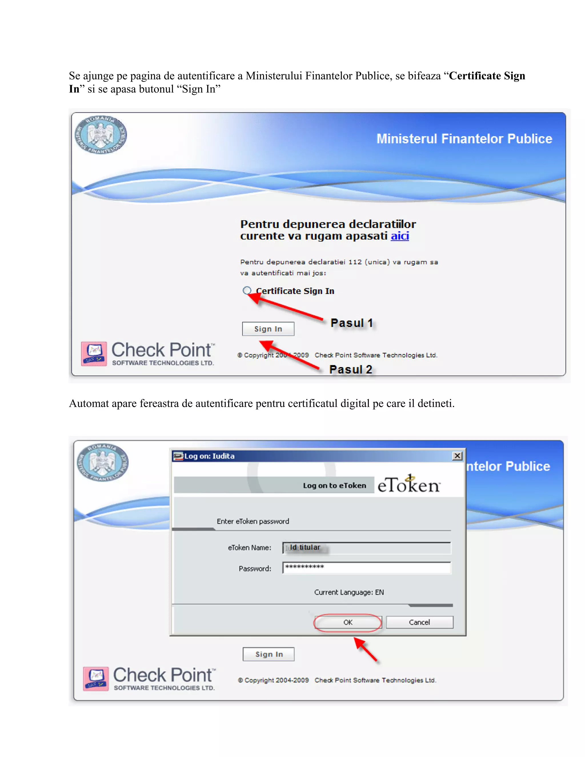 Ghid depunere vizualizare | PDF