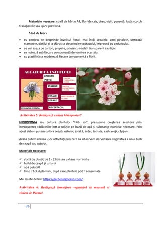 Educatia pentru sanatate - ghid | PDF