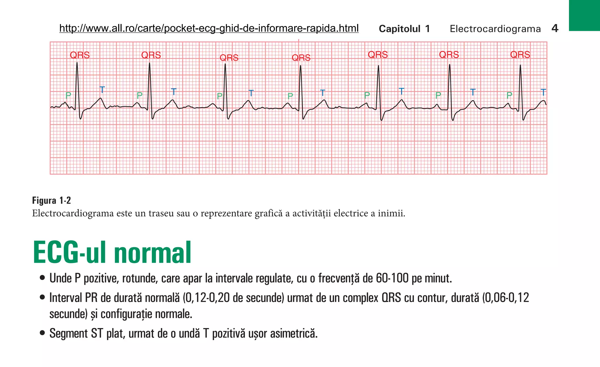 Ghid pocket ECG Bruce Shade | PDF