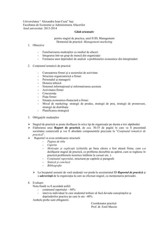 Ghid practica ii_id | PDF