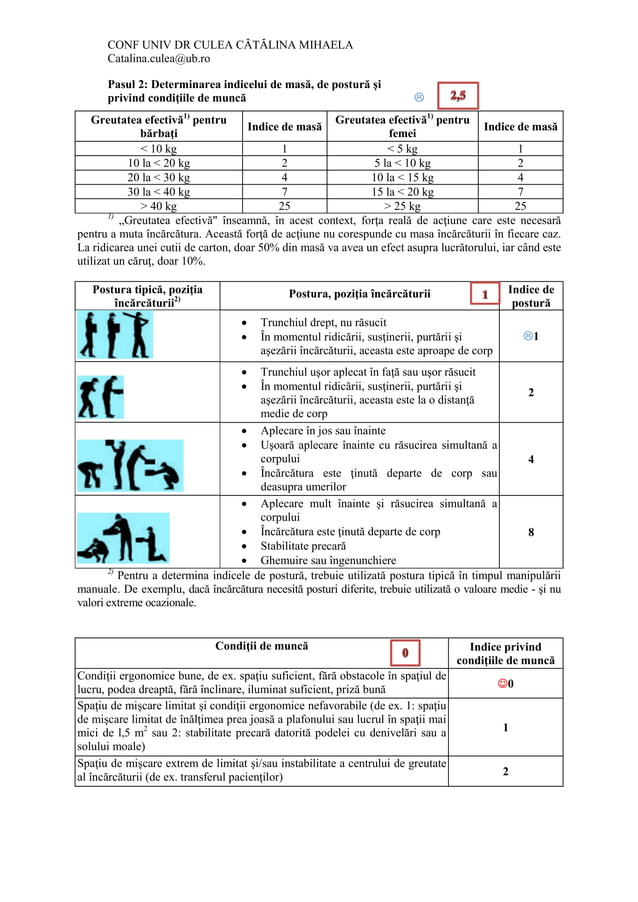 Ghid proiect culea | PDF