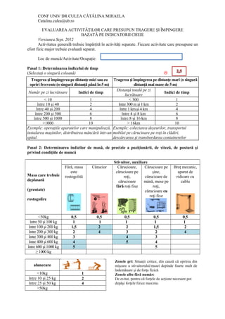 Ghid proiect culea | PDF
