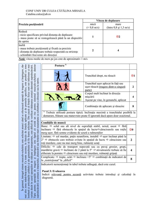 Ghid proiect culea | PDF