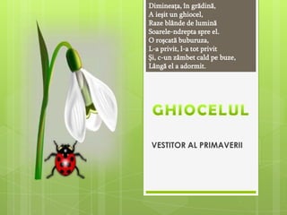 Ghiocelul | PPT
