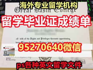 USYD毕业证 | PDF