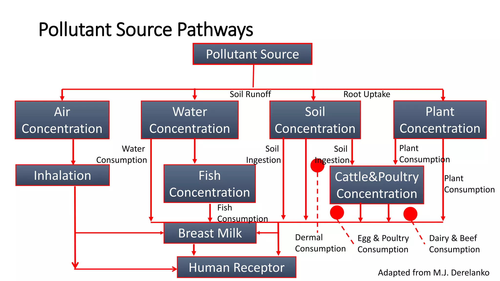 Environmental Hygiene | PPTX