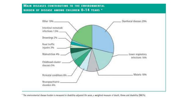 Environmental Hygiene | PPTX