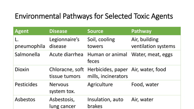 Environmental Hygiene | PPTX