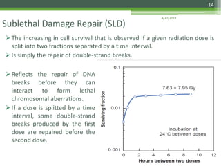 DNA damages and repair path | PPTX