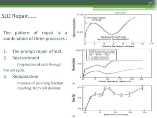 DNA damages and repair path | PPTX