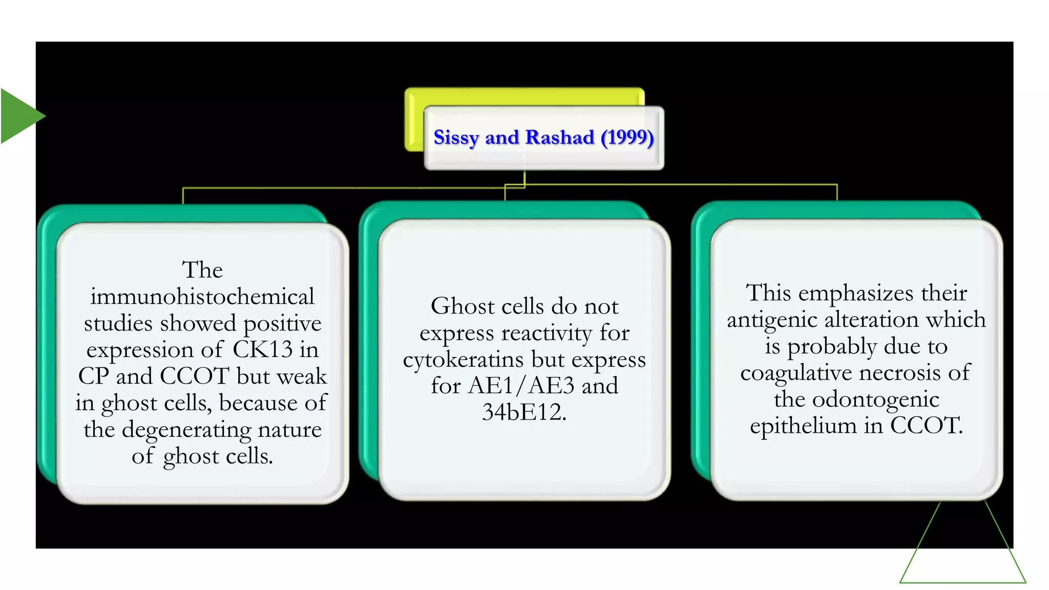 Ghost cells | PPTX