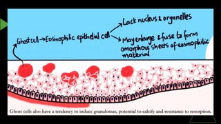 Ghost cells | PPTX