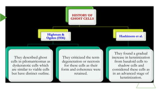Ghost cells | PPTX