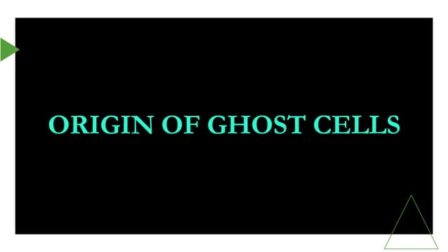 Ghost cells | PPTX
