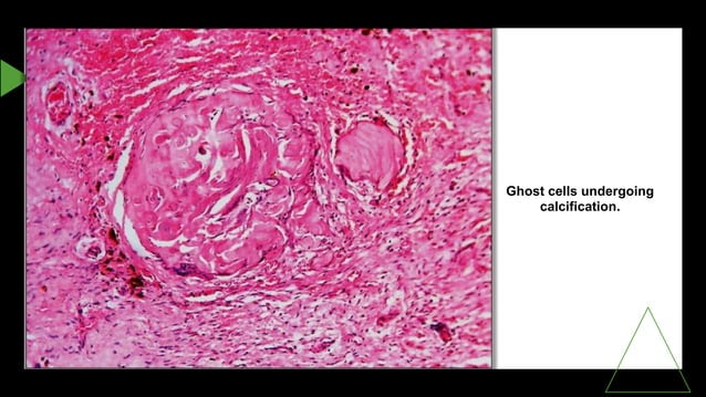 Ghost cells | PPT | Free Download