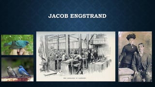 Ghosts costume research | PDF