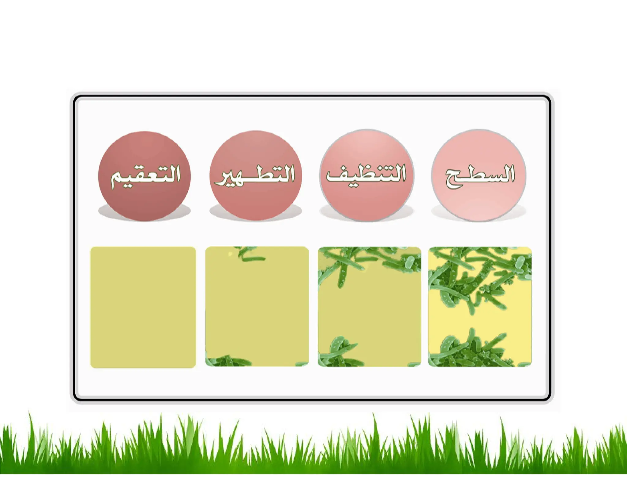 GHP training material الممارسات الصحة الجيدة.pdf