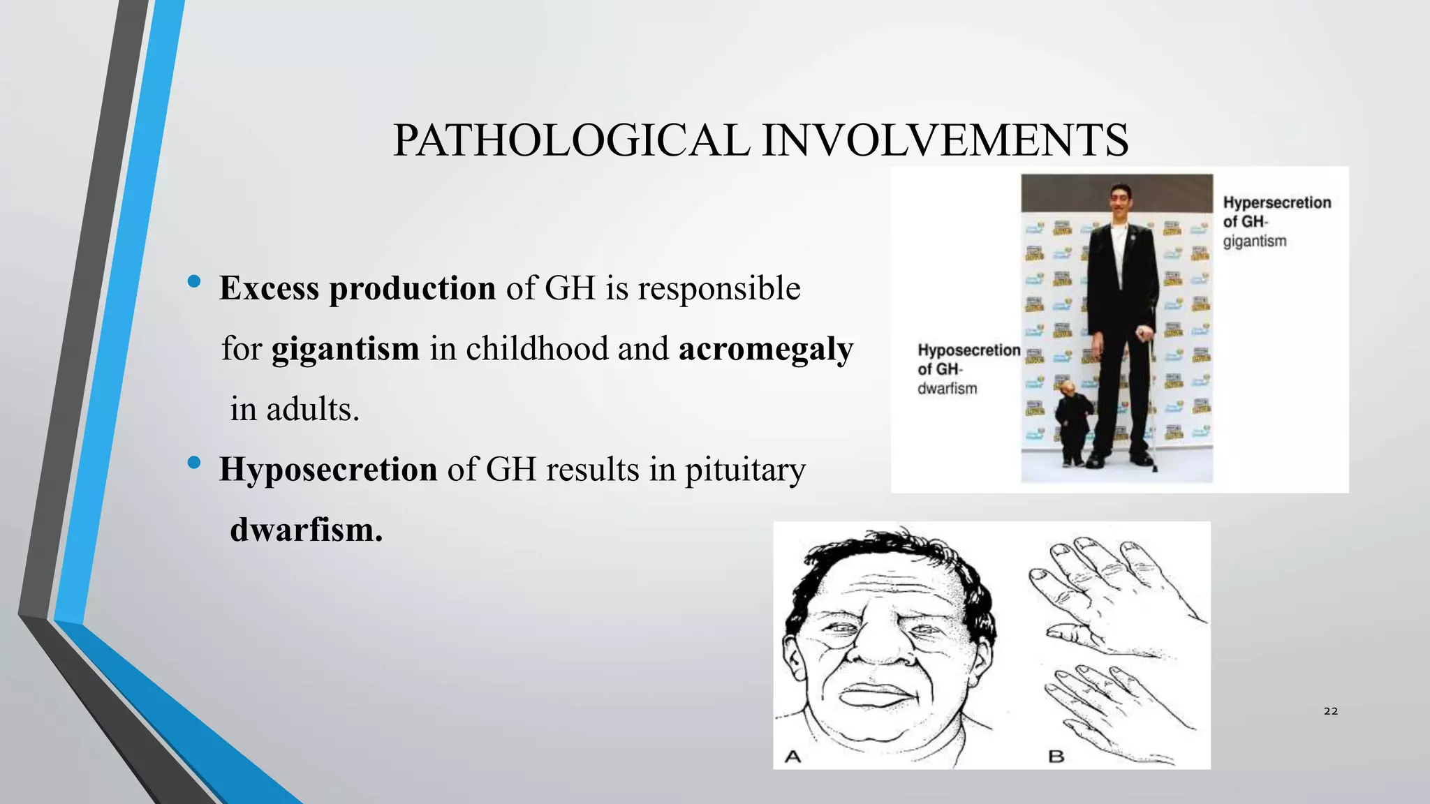 GH RECEPTORS.pptx