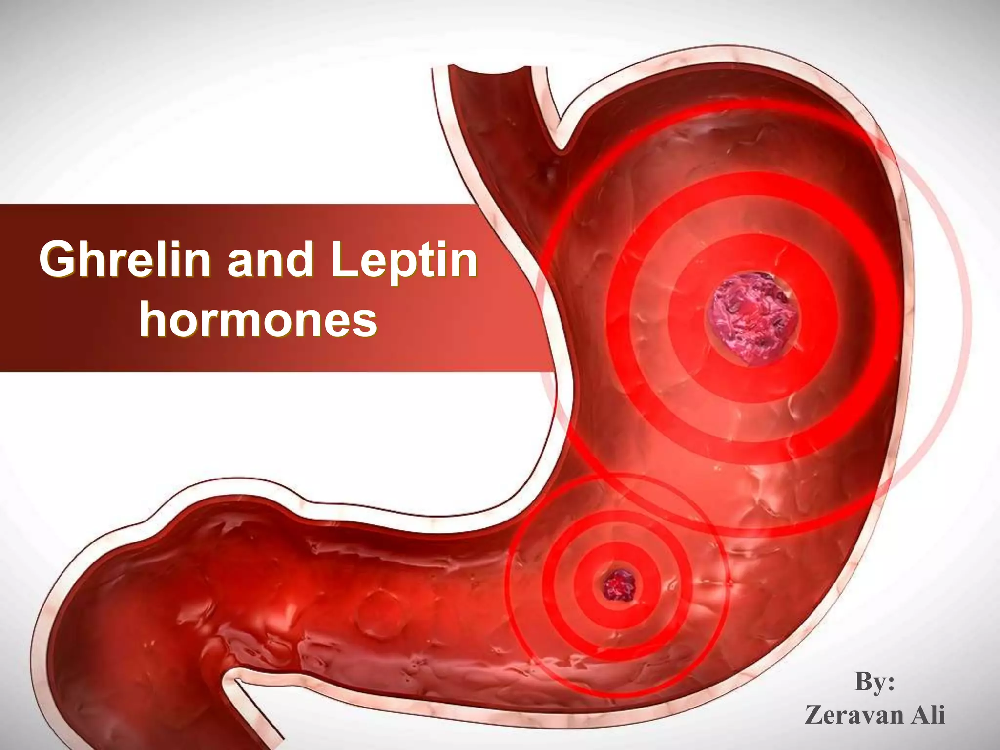 Ghrelin and Leptin hormones | PPTX