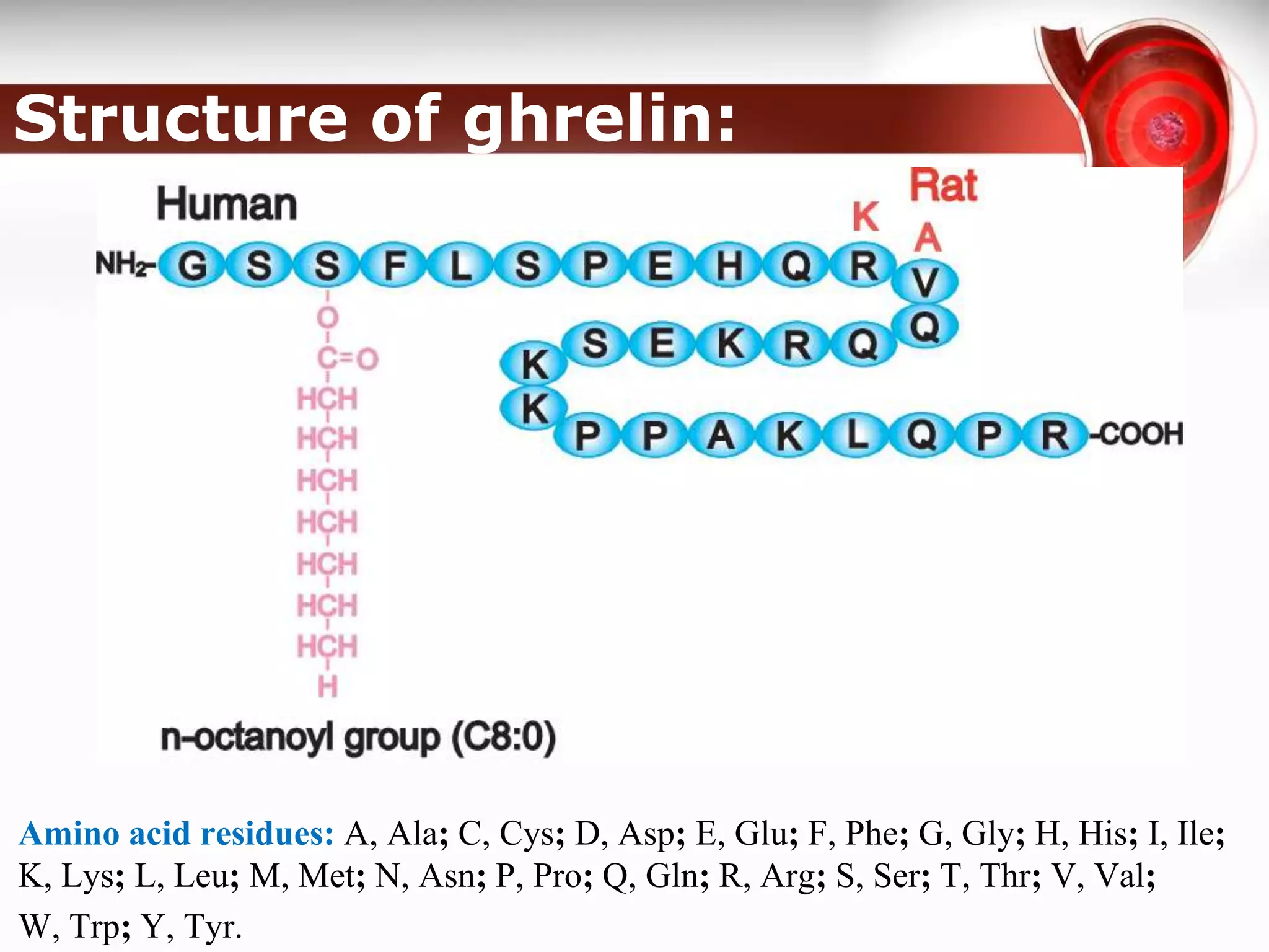Ghrelin and Leptin hormones | PPTX