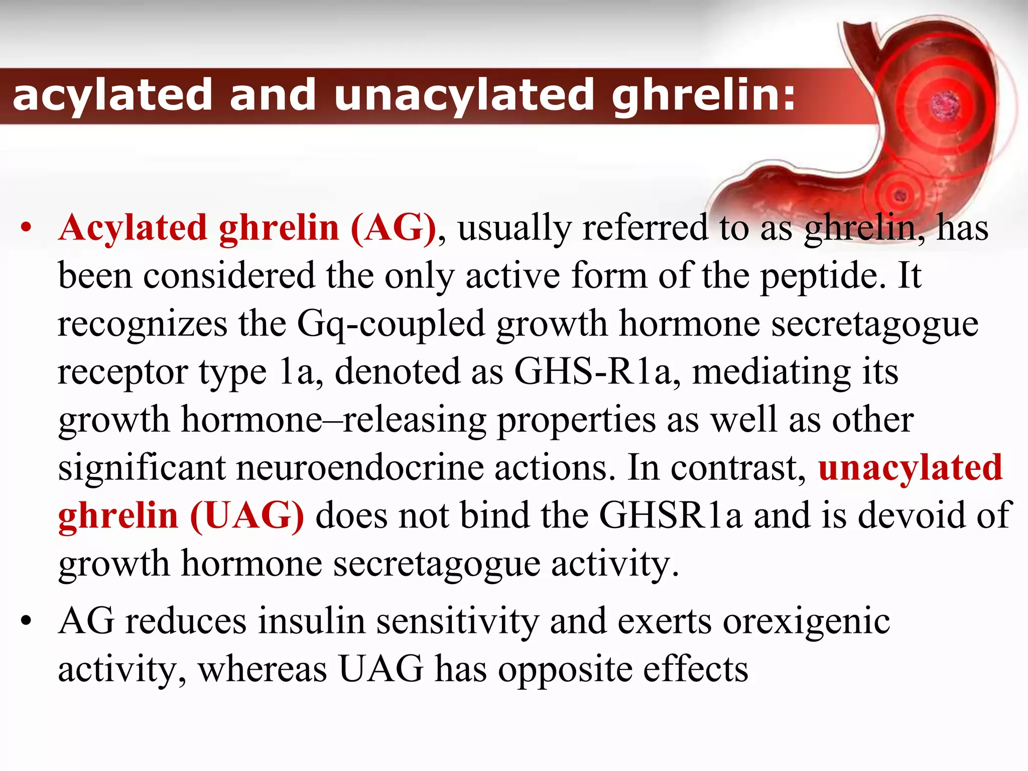 Ghrelin and Leptin hormones | PPTX