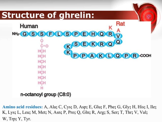 Ghrelin and Leptin hormones | PPTX