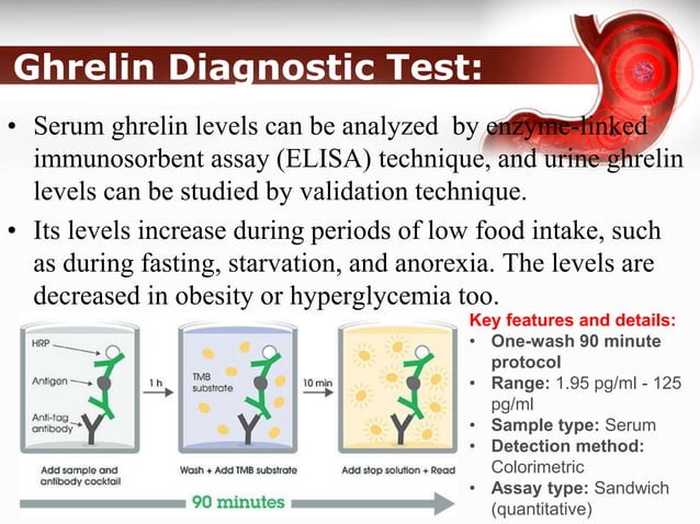 Ghrelin and Leptin hormones | PPTX | Endocrine and Metabolic Diseases ...