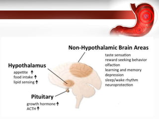 Ghrelin and Leptin hormones | PPTX