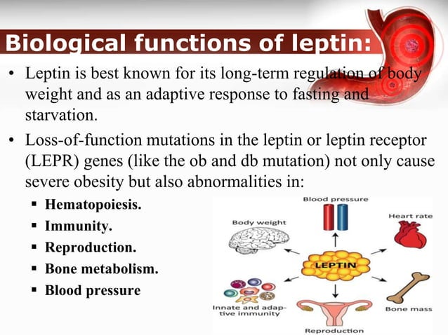 Ghrelin and Leptin hormones | PPTX | Endocrine and Metabolic Diseases ...