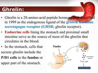 Ghrelin and Leptin hormones | PPTX