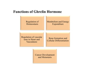 Ghrelin Hormone.pdf