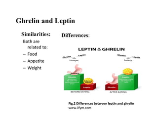 Ghrelin Hormone.pdf