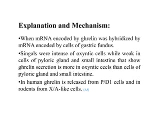 Ghrelin Hormone.pdf
