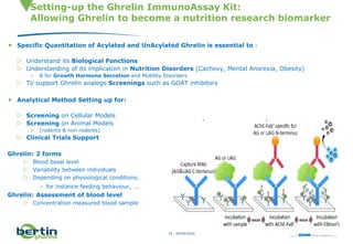 Ghrelin Immunoassay & Translational Medicine | PPT