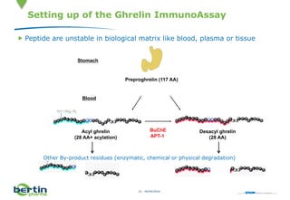 Ghrelin Immunoassay & Translational Medicine | PPT