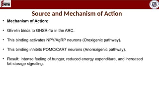 Ghrelin: The Master Regulator of Hunger and Metabolism | PPTX