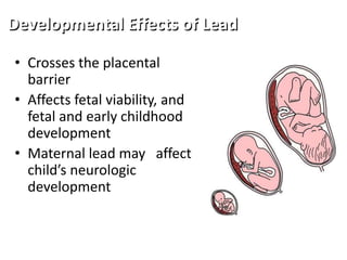 Ghs and lead safety | PPTX