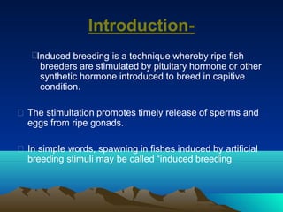 Ghulam mujtaba channa | PDF