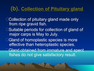 Ghulam mujtaba channa | PDF