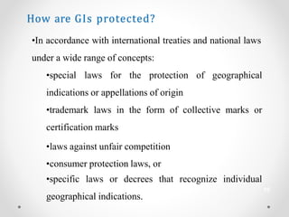 Geographical Indicators | PPTX | Geography | Science