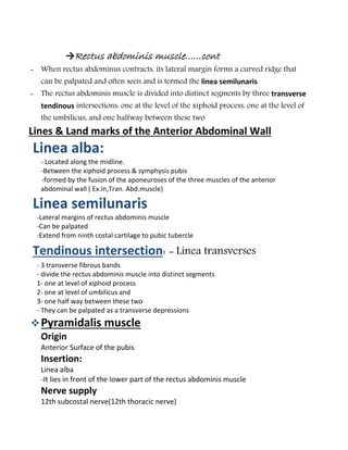 Anatomy of the gastrointestinal system by Dawood Alatefi | PDF