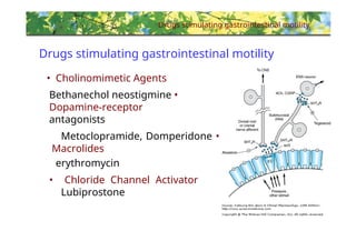 DRUGS USED IN GASTROINTERSTINAL DISEASES | PPT