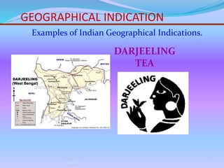 Basic understanding of the Geographical Indications and the law | PPTX