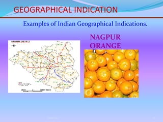 Basic understanding of the Geographical Indications and the law | PPTX