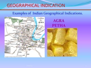 Basic understanding of the Geographical Indications and the law | PPTX